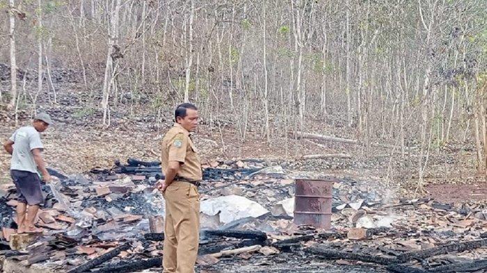 Berawal dari Bakar Sampah, Satu Rumah Warga di Rongkop Gunungkidul Ludes Dilalap Si Jago Merah ...