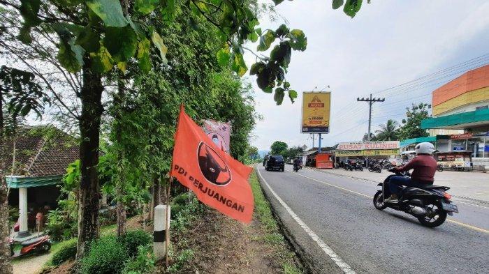 Satpol-PP Gunungkidul Tertibkan Atribut Parpol yang Langgar Aturan - Tribunjogja.com