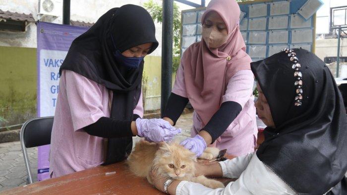 Pemkot Yogyakarta Kembali Gulirkan Vaksinasi Rabies Gratis untuk Hewan ...