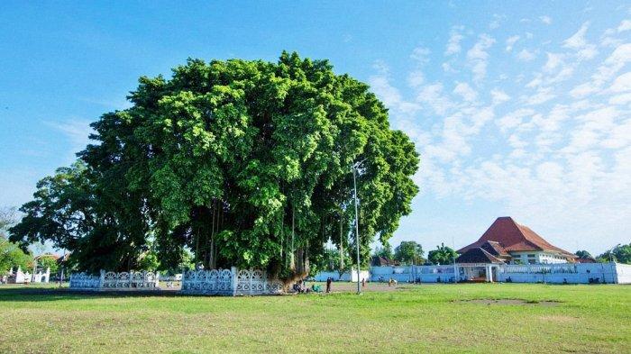 Sejarah Alun-Alun Selatan Yogyakarta, Miliki 5 Jalan Keluar Lambang 5 ...