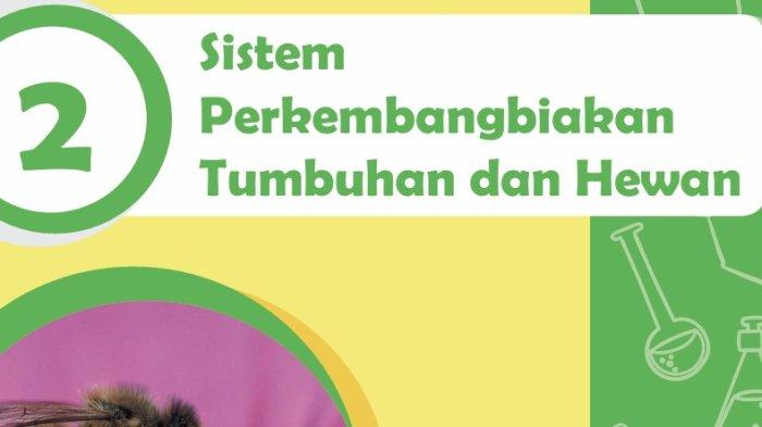 Rangkuman Materi IPA Kelas 9, Bab 2: Teknologi Perkembangbiakan Hewan - Tribunjogja.com