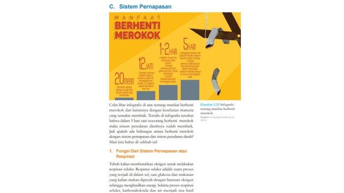 RINGKASAN Materi IPA Kelas 8 SMP Kurikulum Merdeka : Mengenal Sistem ...
