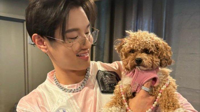 Profil dan Fakta Penyanyi Tampan Asal Taiwan-Amerika Sunkis ...