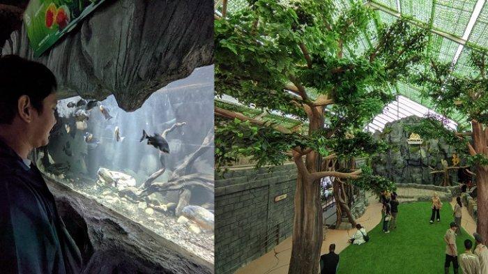 Suraloka Zoo Kaliurang Pamerkan Zona Hewan Baru - Tribunjogja.com