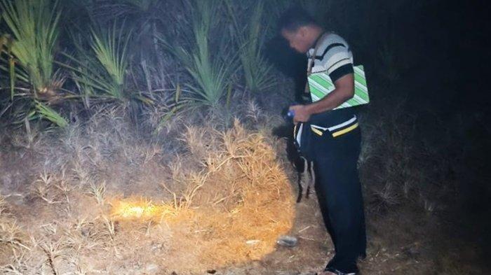 Polsek Temon Kulon Progo Selidiki Kasus Pencurian Motor di Pantai Glagah - Tribunjogja.com