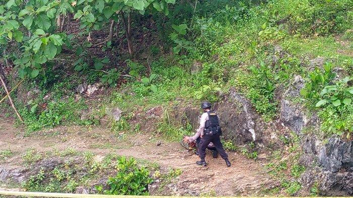 Tim Gegana Lakukan Pendisposalan Granat Nanas di Gunungkidul, Diduga Sisa Perang Dunia Kedua ...