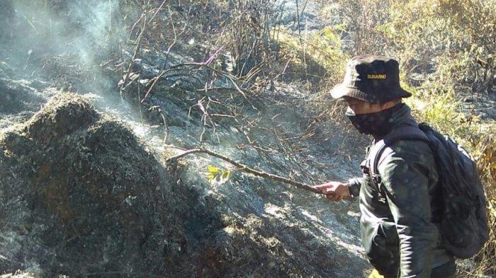 Akibat Kebakaran Hutan Jalur Pendakian Gunung Sumbing Ditutup