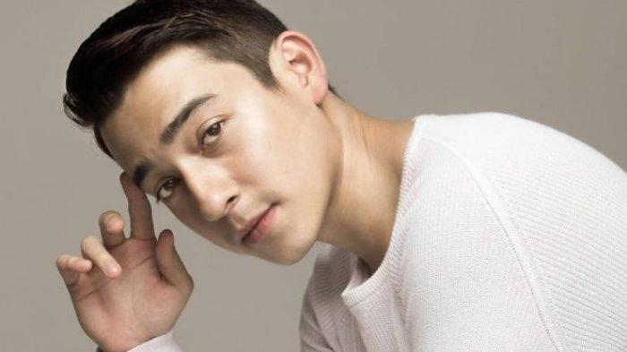 Biodata, Profil, dan Siapa Aliff Alli Aktor Sinetron yang Dikabarkan ...