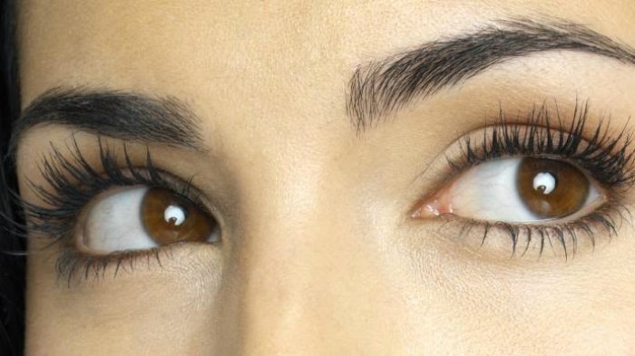 Bagaimana Hukum Merapikan Alis Mata dan Membentuknya Lebih Indah ...