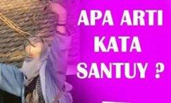 Arti Sebenarnya Kata Santuy yang Viral Sering Dipakai Para Netizen, Tak ...