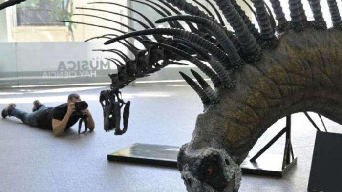 Dinosaurus Ini Memiliki Punggung 'Mohawk' - Tribunjogja.com