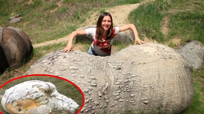 Menakjubkan! Batu-batu Segede Ini Ternyata Hidup, Bisa Tumbuh dan ...