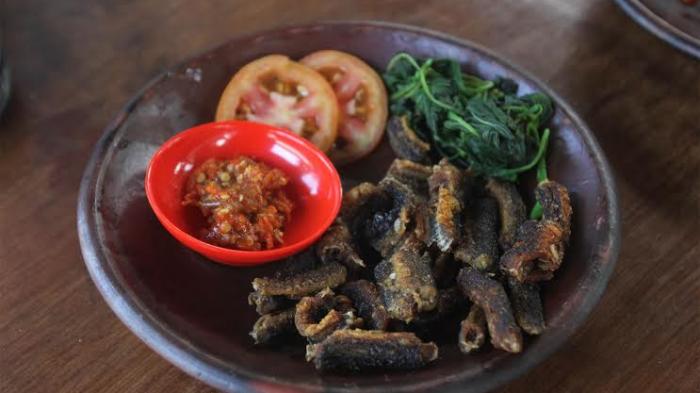 Rekomendasi Wisata Kuliner Jogja Menu Belut, Ada Sambel Belut Pak Wardi ...