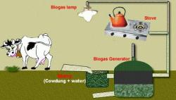Biogas Bisa Dikemas Dalam Tabung - Tribunjogja.com