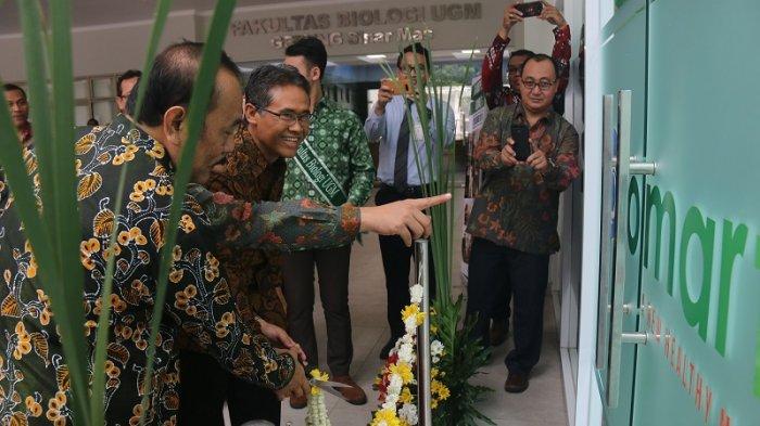 Biomart, Minimarket Milik Fakultas Biologi UGM Jual Bibit Anggrek ...