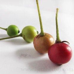 10 Khasiat Buah Kersen bagi Kesehatan - Tribunjogja.com