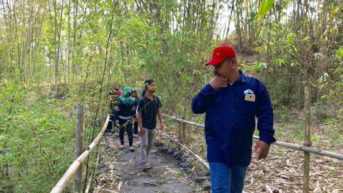 Budidaya Bambu di Sleman Dikembangkan jadi Pusat Wisata dan Edukasi ...