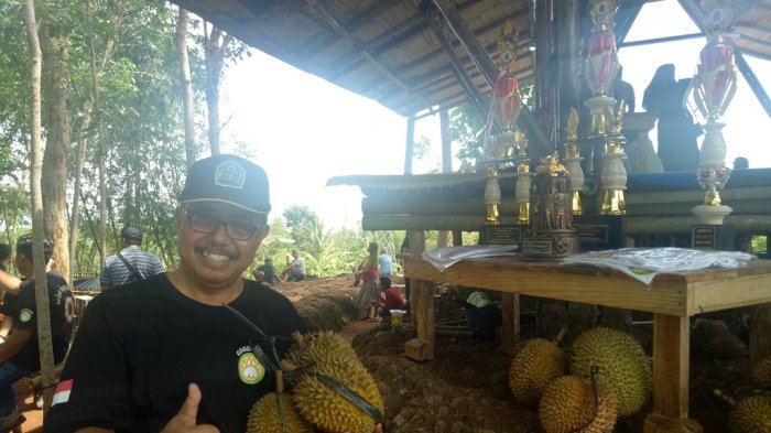 Camat Patuk Genjot Durian Lokal Jadi Kekayaan Patuk dan Gunungkidul ...