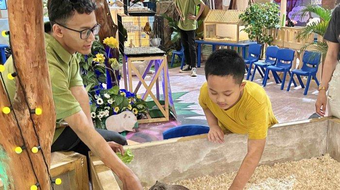 BERITA FOTO: Ada Kebun Binatang Mini di Pakuwon Mall Yogyakarta ...