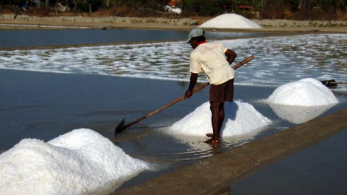 Duh! Sebanyak 738.000 Ton Garam Rakyat Tak Terserap - Tribunjogja.com