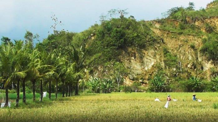 Gugusan Bukit di Godean-Seyegan Ini Ternyata Gunung Api Purba Berusia ...