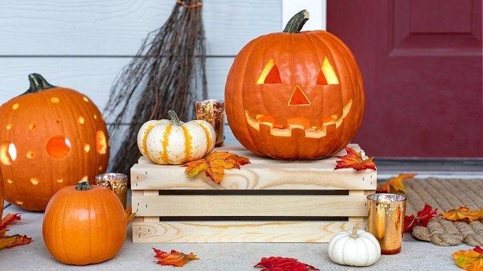 Tak Hanya Dikenal Sebagai Simbol Halloween, Labu Punya 5 Manfaat ...