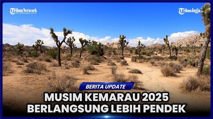 Musim Kemarau 2025 Diperkirakan Tidak Serentak Dengan Durasi Lebih Pendek - Tribunjogja.com