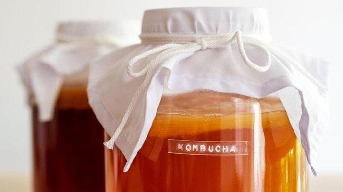 5 Manfaat Teh Kombucha Bagi Kesehatan Tubuh - Tribunjogja.com