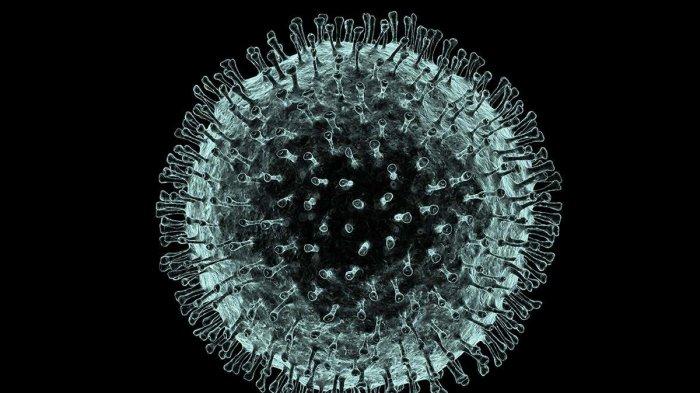 Mengenal Pola Penyebaran dan Penularan Virus Corona Covid-19 ...