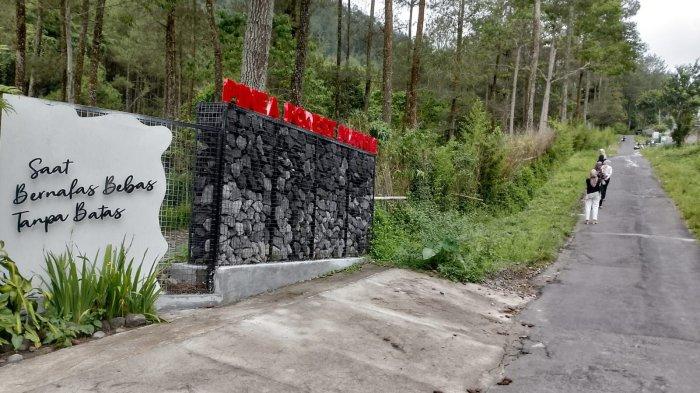 Pinea Forest Mangli Jadi Daya Tarik Wisata Baru di Desa Girirejo ...