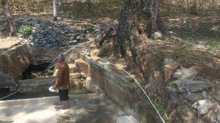 Cerita Sendang Beji Gunung Kidul yang Tak Pernah Kering Meski Yogya ...