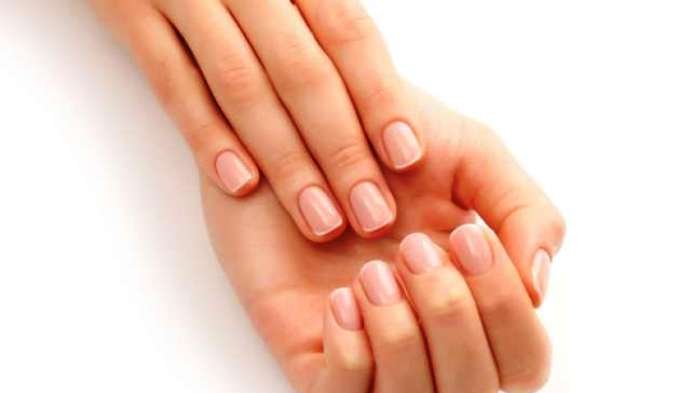 Panjang Jari Manis Cerminkan Orientasi Seksual Perempuan, Begini Cara ...