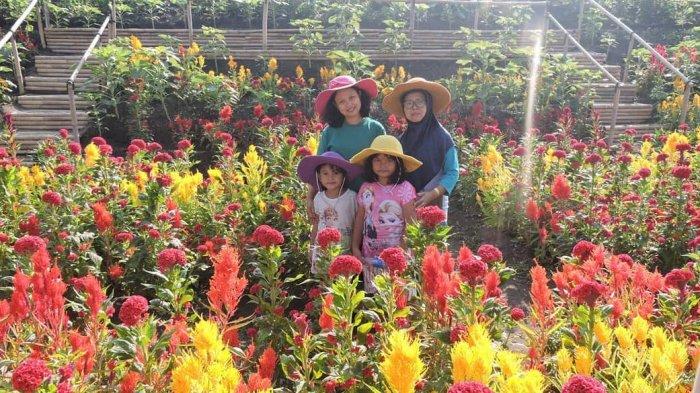 Berburu Foto Unik Mengasyikkan di Perengan Park Sanden Bantul ...