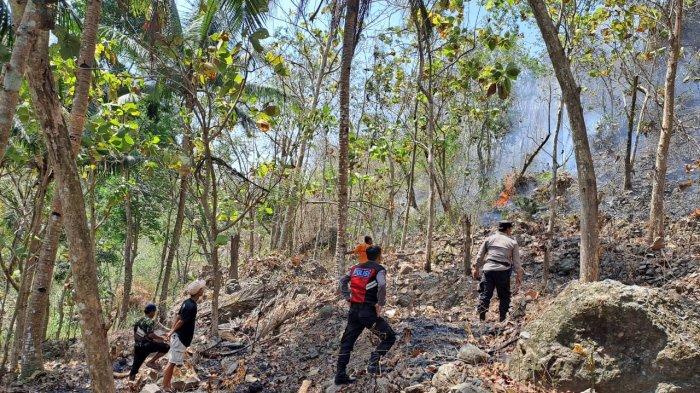 BREAKING NEWS: Kebakaran Lahan Perhutani di Kokap Kulon Progo, Upaya Pemadaman Masih Berlangsung ...