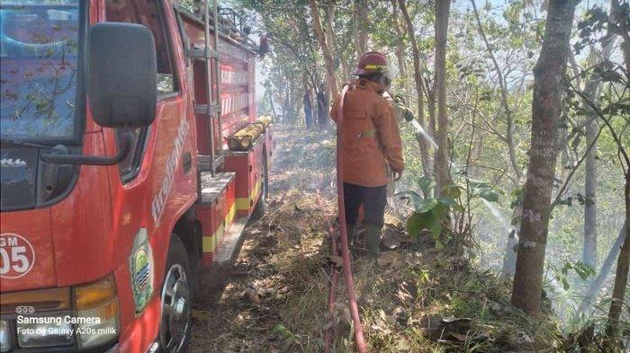 Tujuh Hektare Lahan Sultan Ground di Selopamioro Bantul Dilalap Si Jago ...