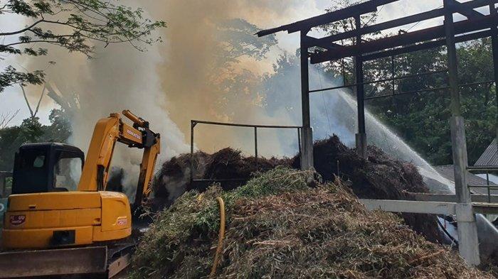 Sebuah Pabrik Kayu Putih di Gunungkidul Hangus Terbakar - Tribunjogja.com