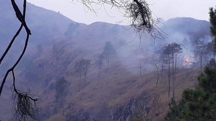 Hutan di Lereng Gunung Andong Magelang Kembali Terbakar - Tribunjogja.com
