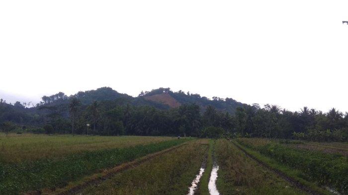 Mempertahankan Warisan Geologi Perbukitan Intrusi dari Godean hingga ...