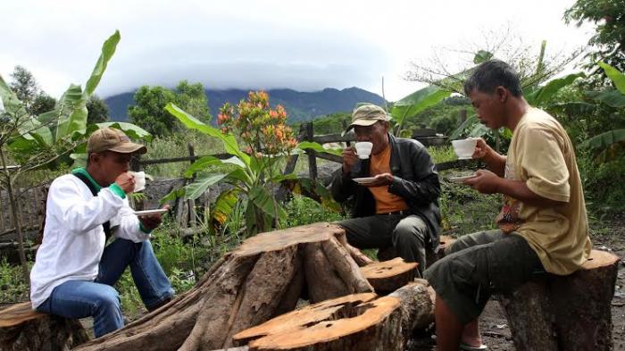 Mencicipi Kopi Merapi, Salah Satu Andalan Wisata Kuliner Masyarakat ...