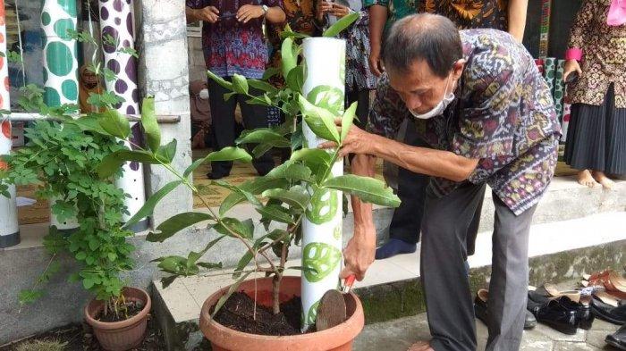 TUTORIAL: Cara Membuat Losida untuk Mengolah Sampah Organik dari Dapur ...