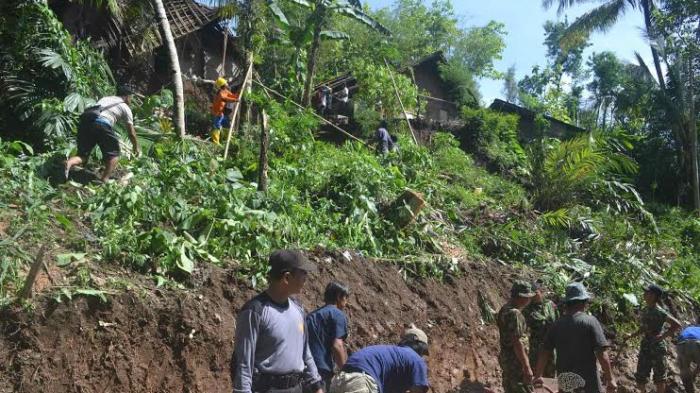 Tanah Longsor Terjang Perbukitan Menoreh - Tribunjogja.com