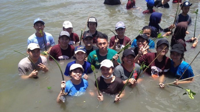 Ini Dia Penjaga Kawasan Mangrove Baros - Tribunjogja.com