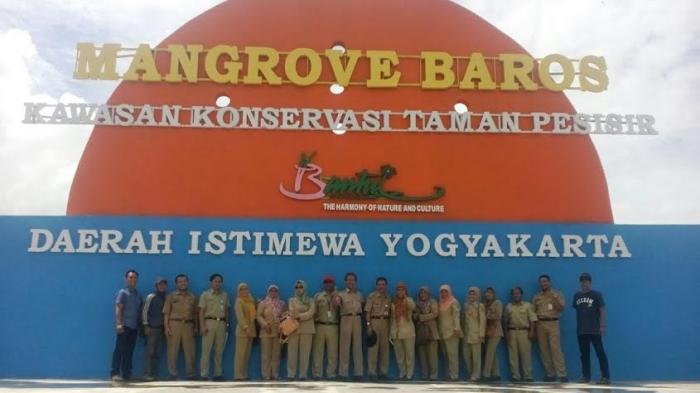 Kawasan Konservasi Mangrove Baros Terus Dibenahi - Tribunjogja.com
