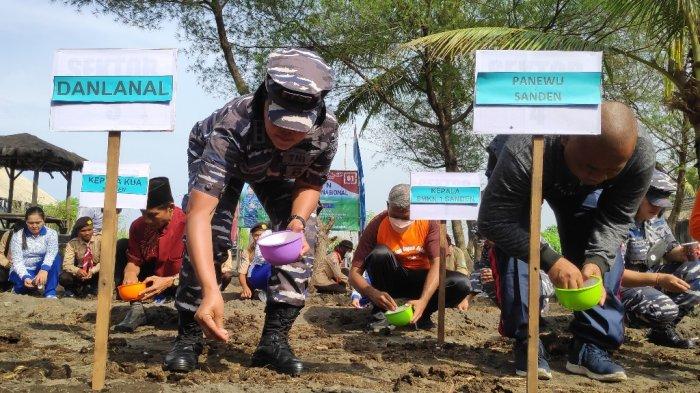 TNI AL Laksanakan Gerakan Penanaman Sorgum Nasional 2022 di Pantai ...