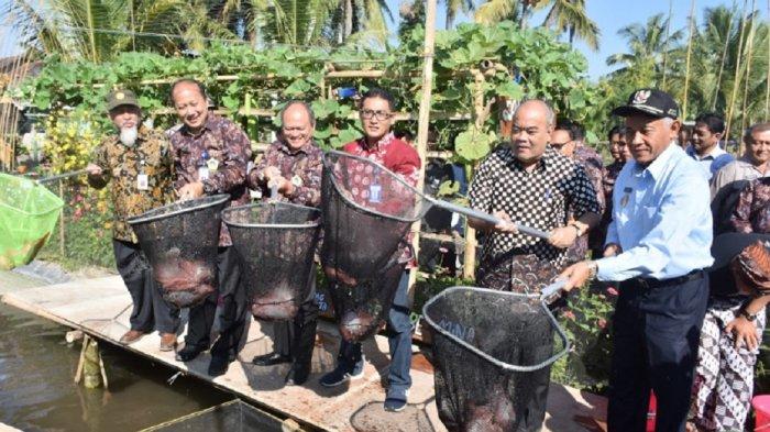 Pekan Daerah Kontak Tani Nelayan Andalan untuk Pengembangan Jejaring - Tribunjogja.com