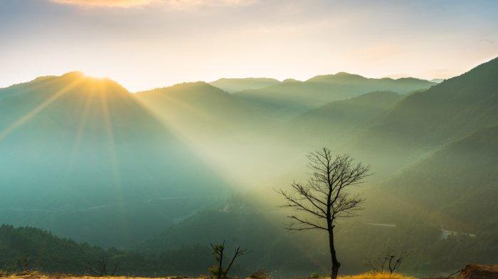 35 Quotes Inspiratif untuk Menyambut Pagi yang Cerah dengan Semangat ...