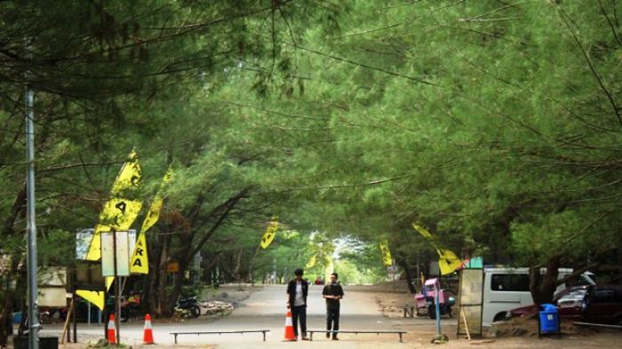 12 Rekomendasi Acara Tahun Baru 2025 di Bantul: Pantai Goa Cemara ...