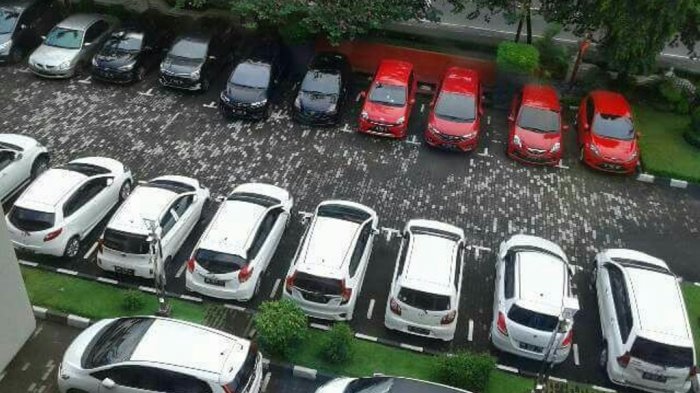Survei Membuktikan: Naik Mobil, Naik Motor Bisa Bikin Bahagia. Begini ...