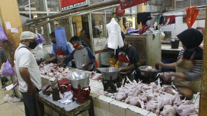 Harga Daging Ayam di Sejumlah Pasar Tradisional Kota Yogya Masih Tinggi ...