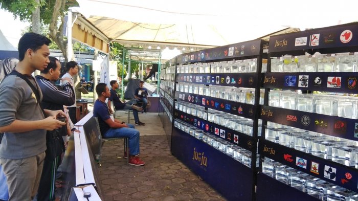 Jogja Guppy Contest 2018, Jadi Kontes Ikan Guppy Terbesar di Indonesia ...